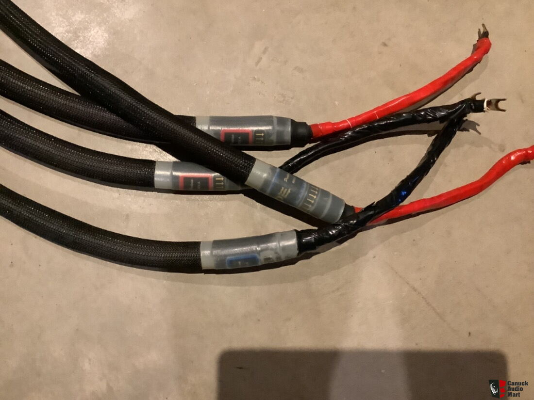 Caztech Speaker cables Photo #4814154 - US Audio Mart