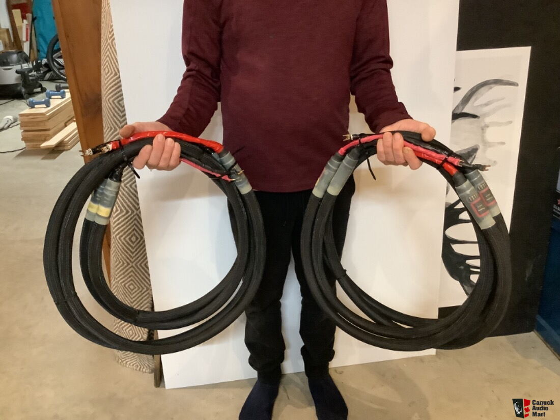 Caztech Speaker cables Photo #4814154 - US Audio Mart