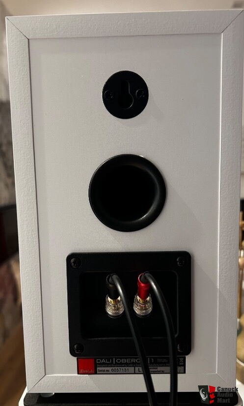 Complete Audiolab / Dali Office / Den System Photo #4816495 - Canuck ...