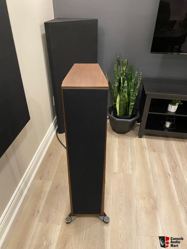 Paradigm Founder 100F Speakers - Mint As New In Walnut Photo #4819109 ...