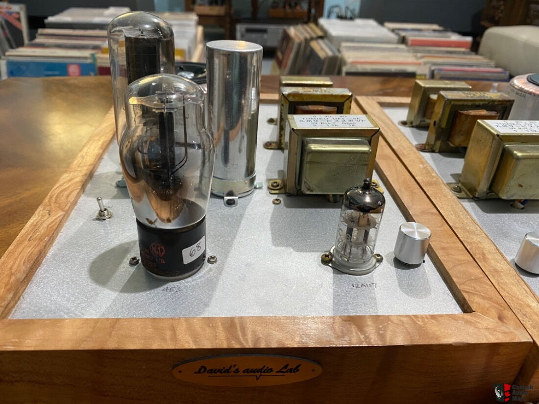 david yee made, 45 mono block tube amp Photo #4821777 - Canuck Audio Mart