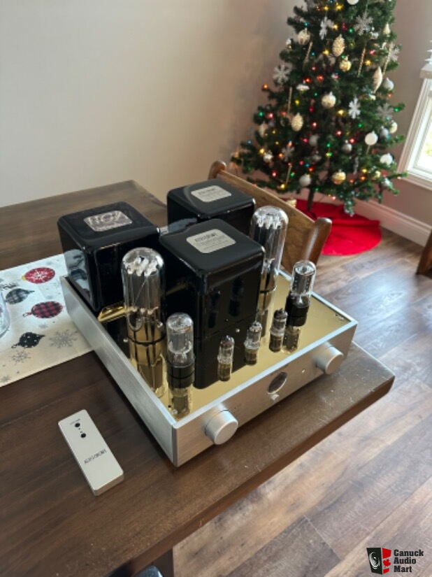 Pending 805 Single Ended Tube Amplifier AudioRomy Photo #4823870 ...