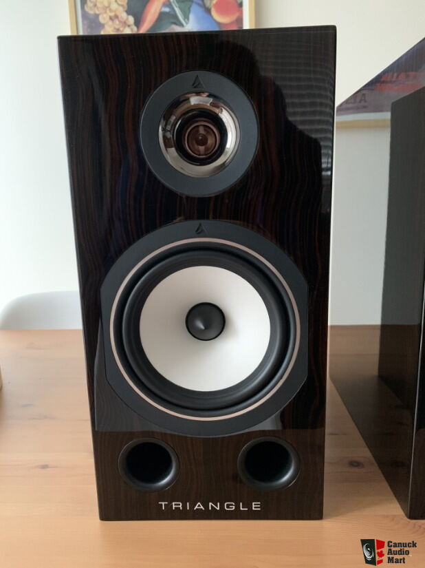Triangle Comete 40th Anniversary Santos Rosewood Photo #4829311 - US ...