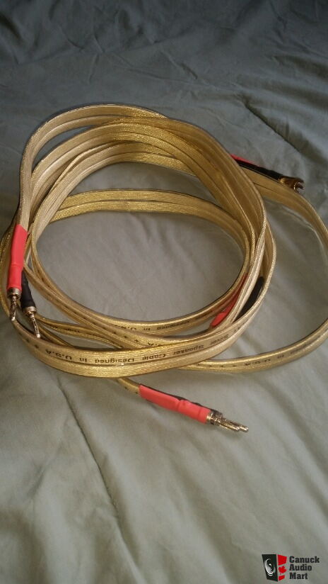 ACE Silver Speaker wires For Sale - Canuck Audio Mart