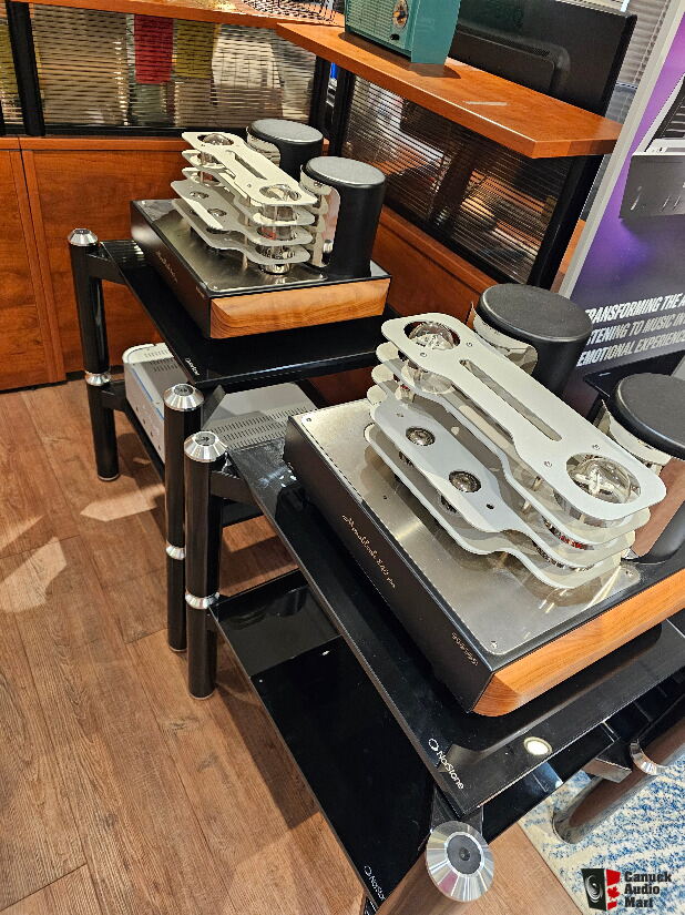Mastersound 845+ Monoblock Amps: Excellent Trade-In; acX Wrnty; 54% Off ...