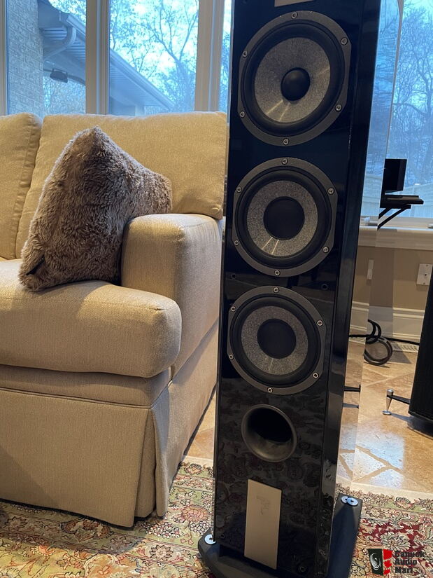 Focal Chorus 826W loudspeaker Photo #4845142 - Canuck Audio Mart