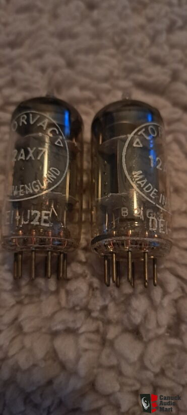 Blackburn Mullards Torvac 12ax7 For Sale - Canuck Audio Mart