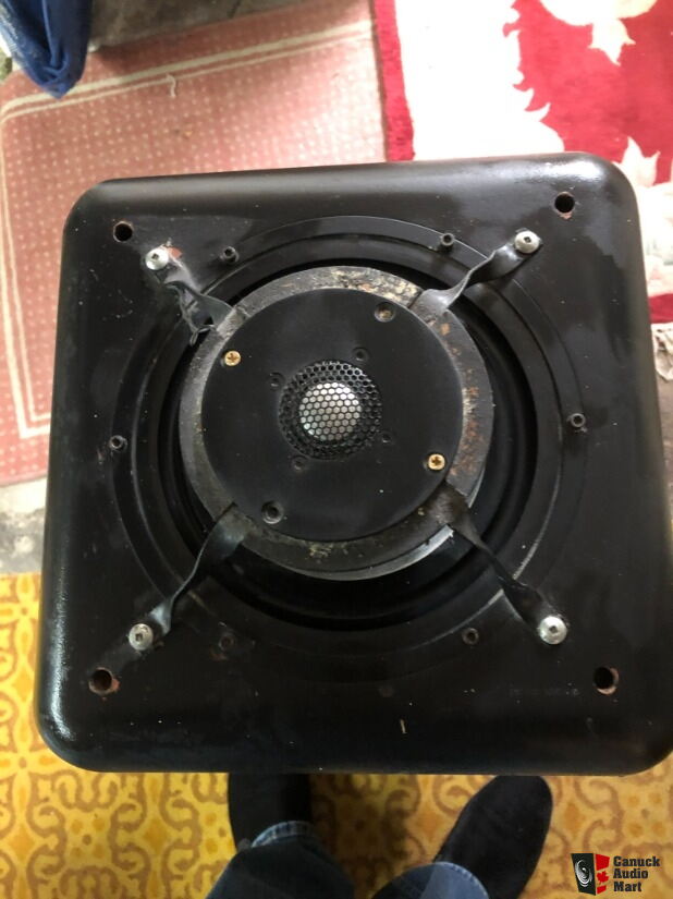 Morrison speakers Photo #4850981 - Canuck Audio Mart