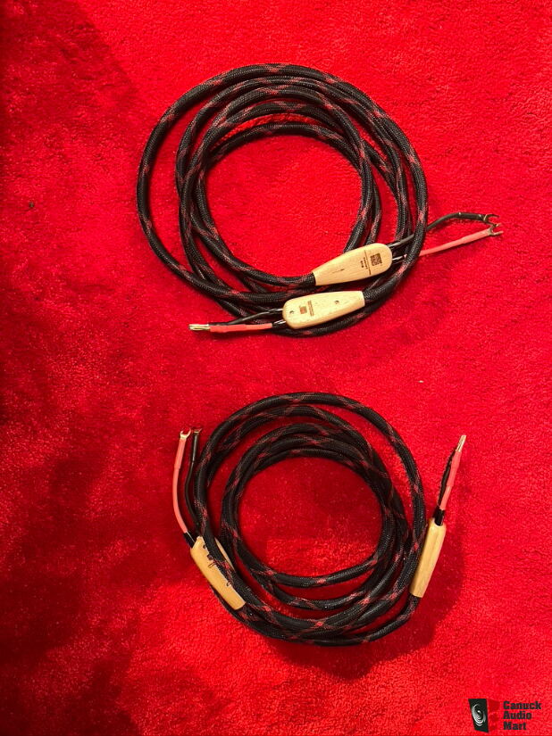 Jungson Audio Perfection Monitor Series Cables - 16 Feet For Sale - UK ...