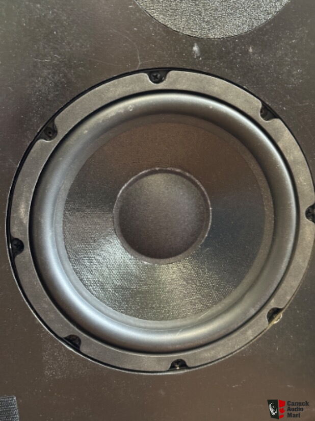 EPI M150 Speakers Photo #4876589 - US Audio Mart