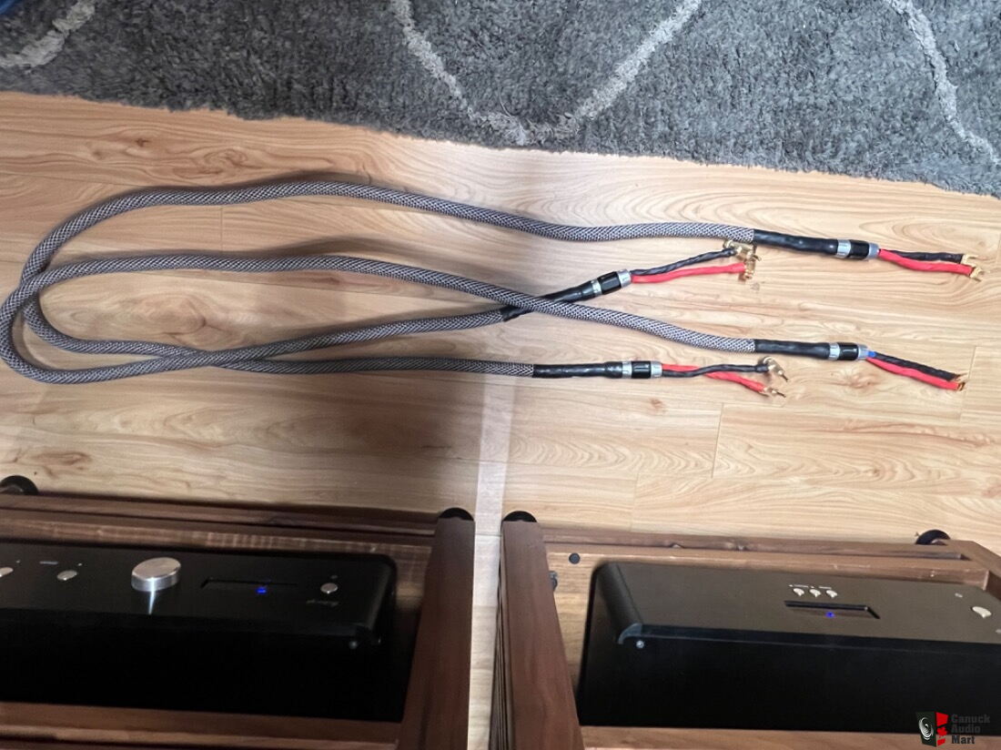 2m pair upocc Neotech NES-3001 speaker cable with Furutech connectors ...
