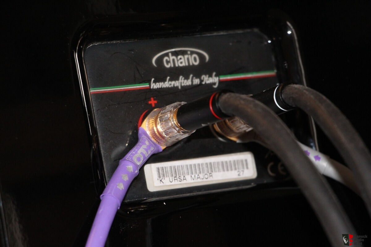Chario "K" Ursa Major speakers Photo #4883216 - Canuck Audio Mart