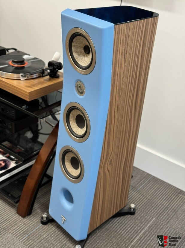 Focal Kanto No 2 - Light Blue and wood - Pair For Sale - Canuck Audio Mart