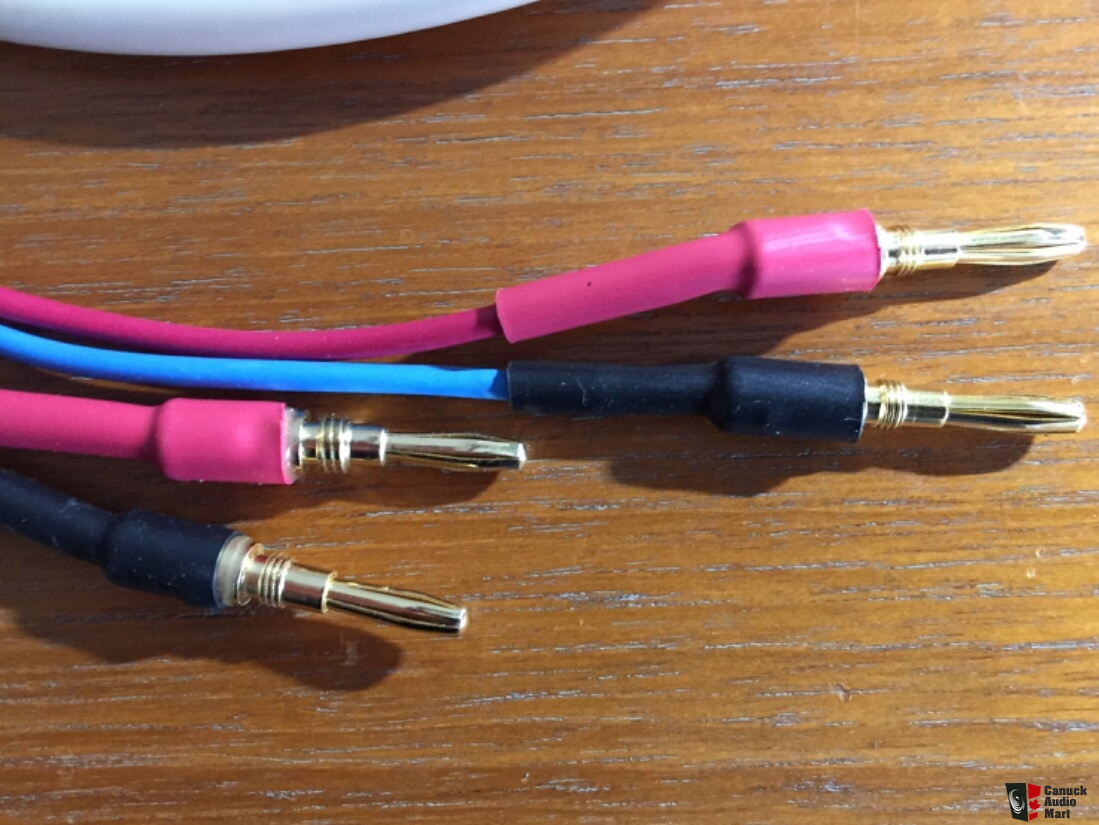 Atlas Cables Equator 2.0 Speaker Cable Pair (2.4M's Long) w/Banana ...