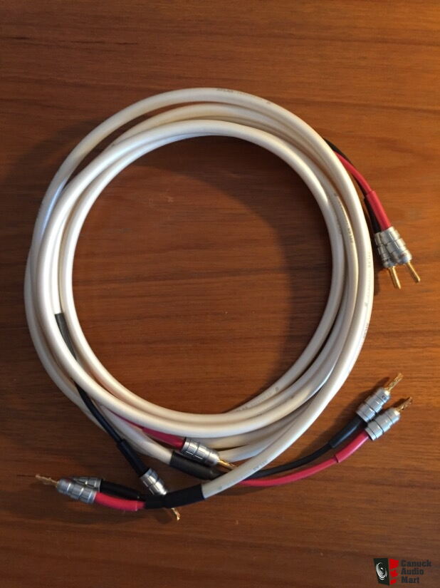 Atlas Cables Equator 2.0 Speaker Cable Pair (2.4M's Long) w/CMC (Swiss ...