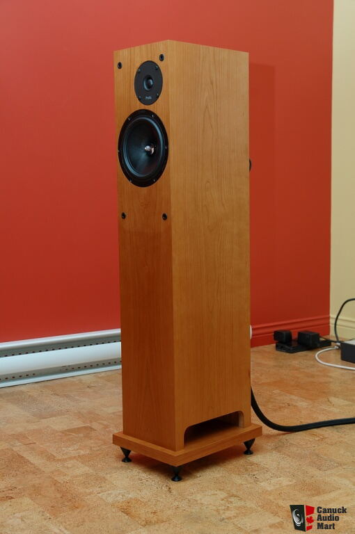 ProAc D18 cherry finish Photo #490015 - Canuck Audio Mart