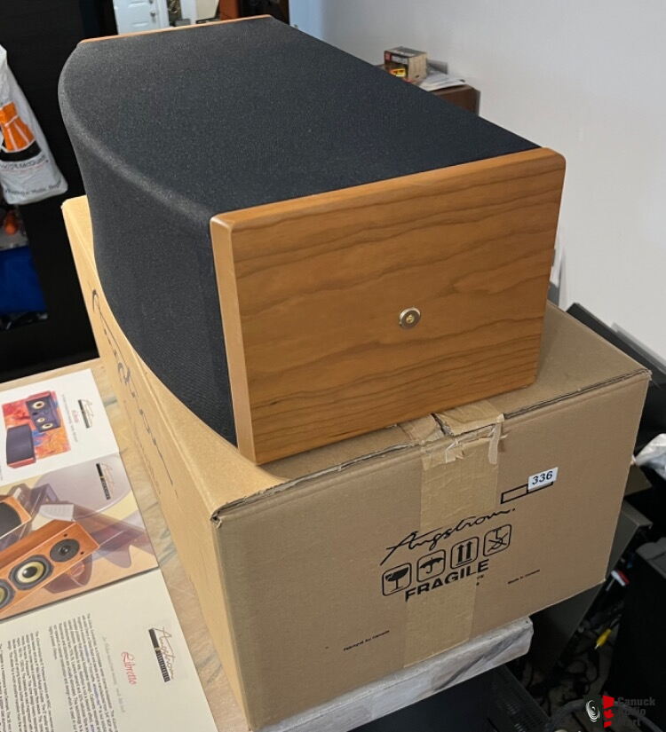ANGSTROM LIBRETTO giant center channel speaker with complete original ...