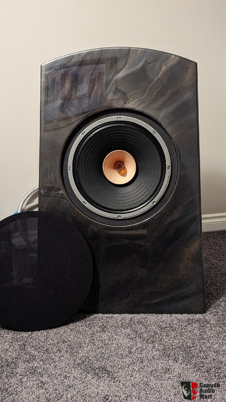 Lii Song Audio F-15 Open Baffle Speakers - Built by Terry Flood For ...