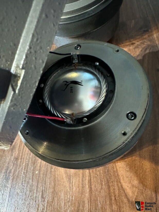 Altec 288-8K original diaphragm Photo #4898447 - Canuck Audio Mart