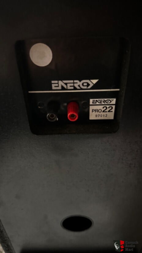 Energy Pro 22 with original stands Photo #4899429 - Canuck Audio Mart