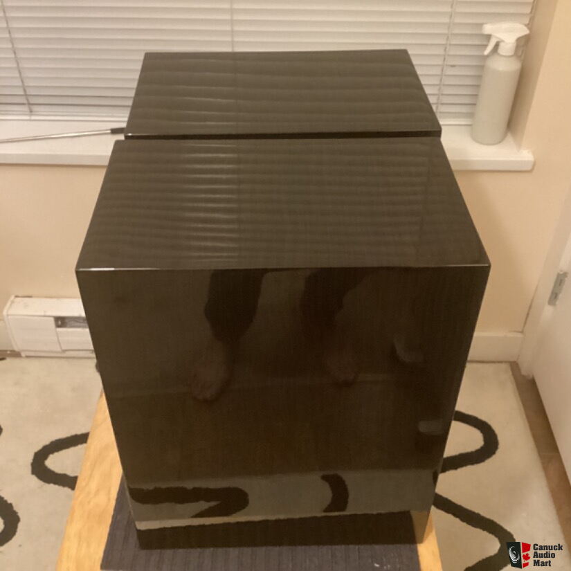 Triangle Comete 40th Anniversary Limited Edition Bookshelf speakers ...