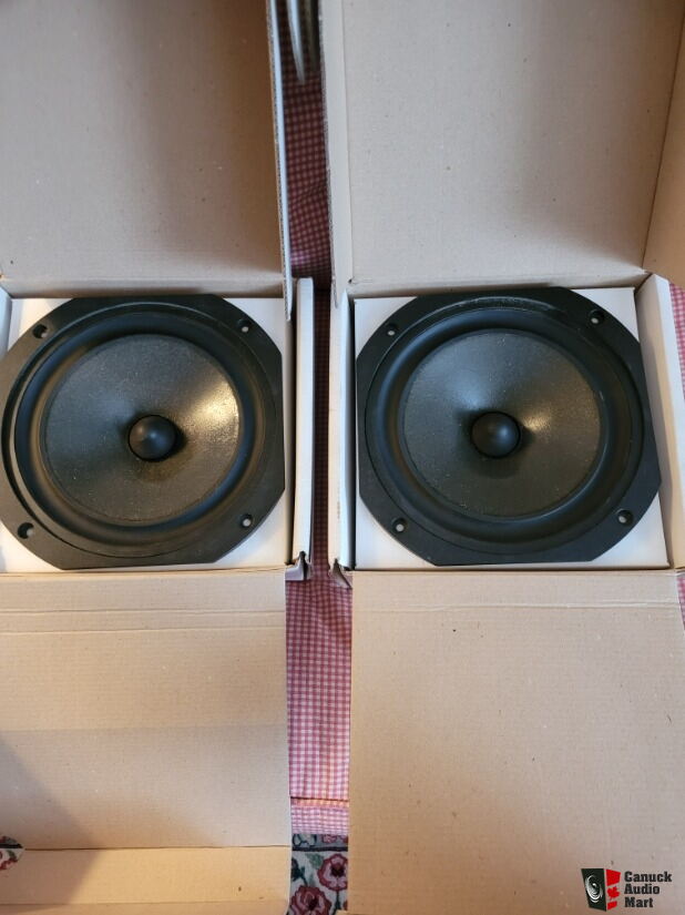 AUDAX Aerogel midrange, 8 inch. PAIR For Sale - US Audio Mart