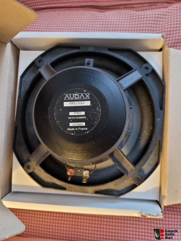 AUDAX Aerogel midrange, 8 inch. PAIR Photo #4900874 - Canuck Audio Mart