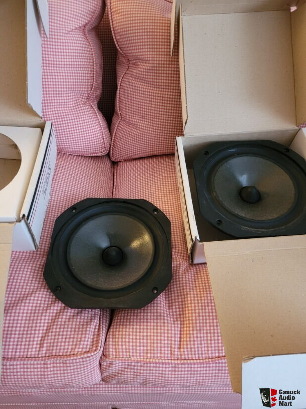 AUDAX Aerogel midrange, 8 inch. PAIR Photo #4900876 - Canuck Audio Mart