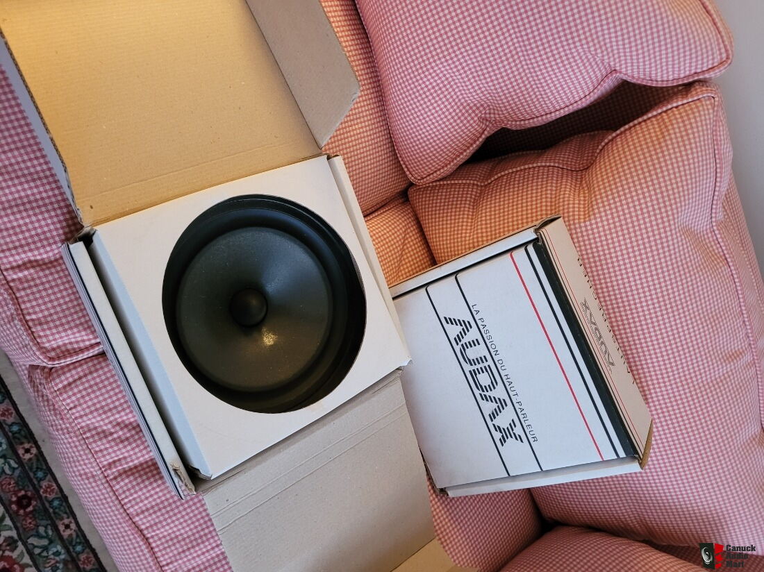 AUDAX Aerogel midrange, 8 inch. PAIR Photo #4900876 - Canuck Audio Mart