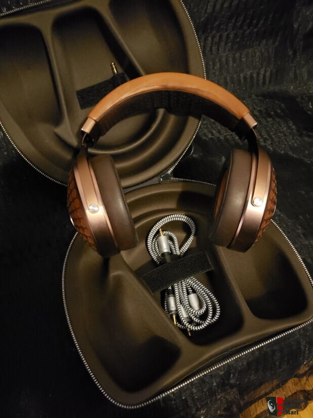 Focal Stellia ( Sale Pending ) Photo #4902302 - Canuck Audio Mart