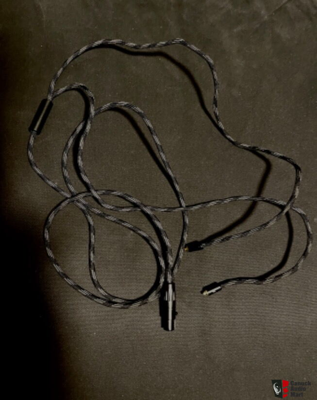 Dual MMCX balanced modular IEM Cable Photo #4903991 - US Audio Mart