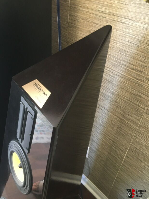 Custom 3-way floor standing oblique shaped speakers