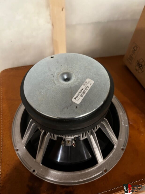 Paradigm - Replacement Subwoofer woofer for ultracube 10 Photo #4912505 ...