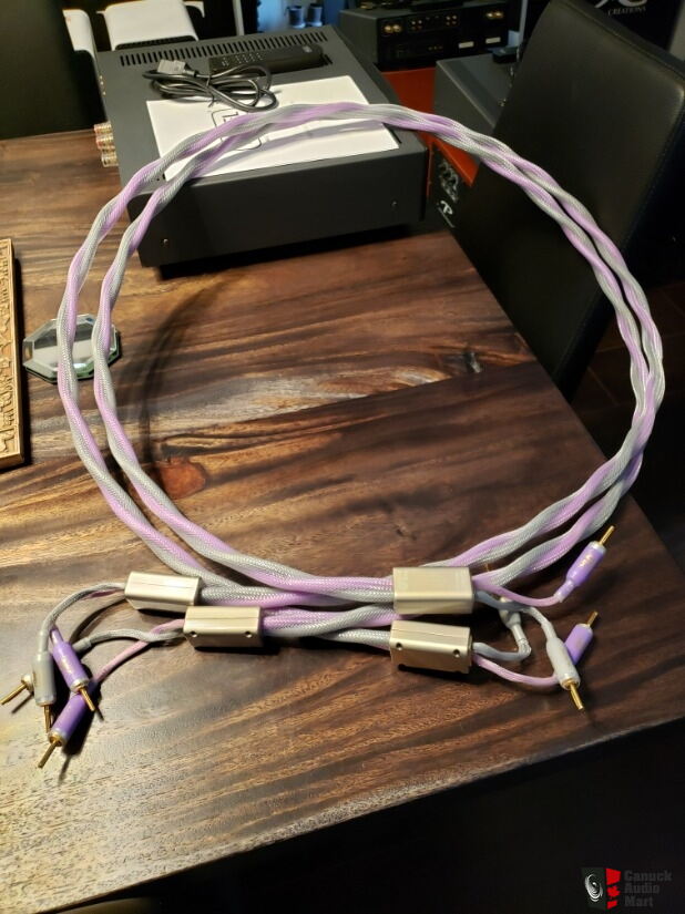 XLO Signature 3 8FT Speaker Cables (S3-5.2) Photo #4916255 - US Audio Mart