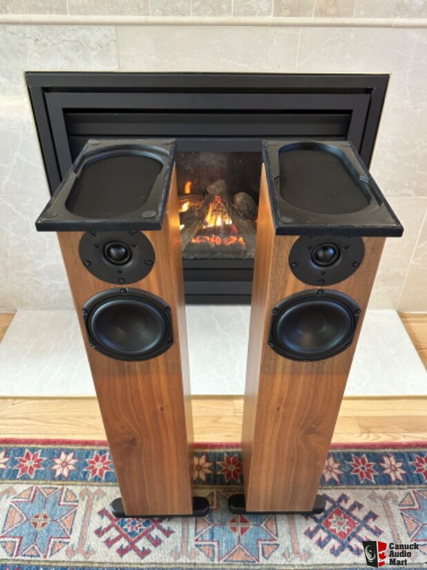 Amazing GEMME Audio Tonic G5 Matched Walnut + 200w Subwoofer w/Remote ...