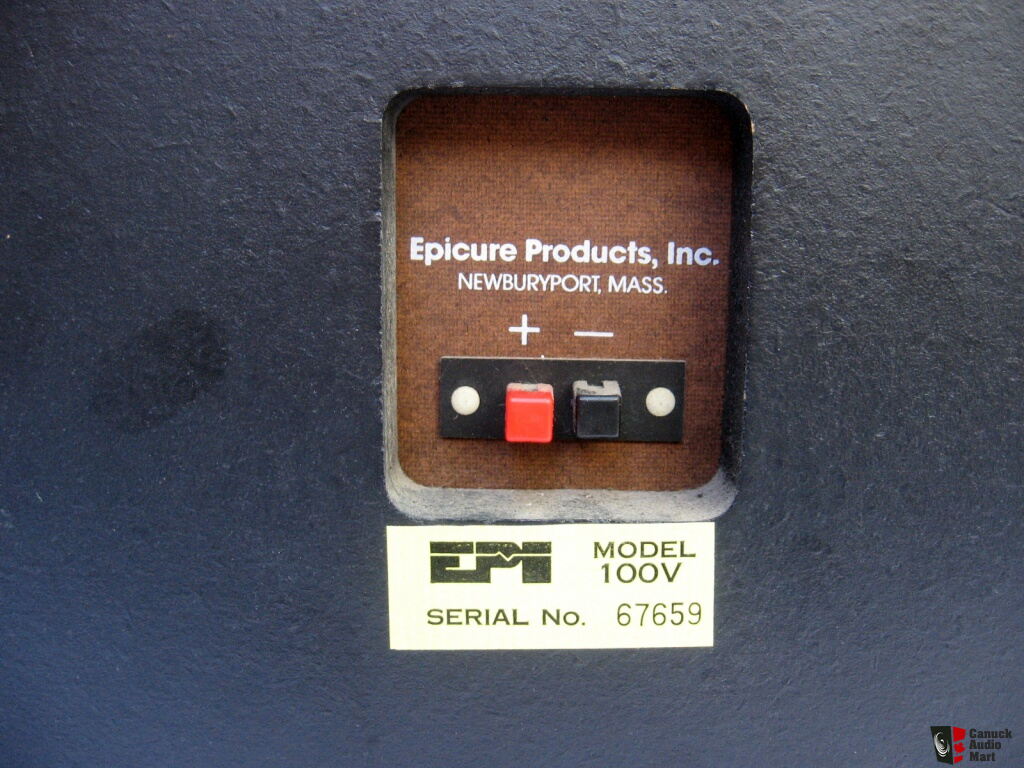 Gorgeous vintage EPI Epicure 100v 2 way speakers refoamed Photo #492862 ...