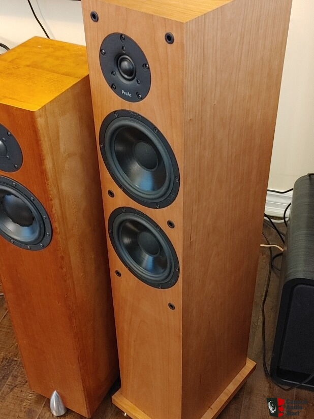 Proac Studio 140 - Spotless !（Best Speaker Awards ⭐ 3 Years in a Roll ...
