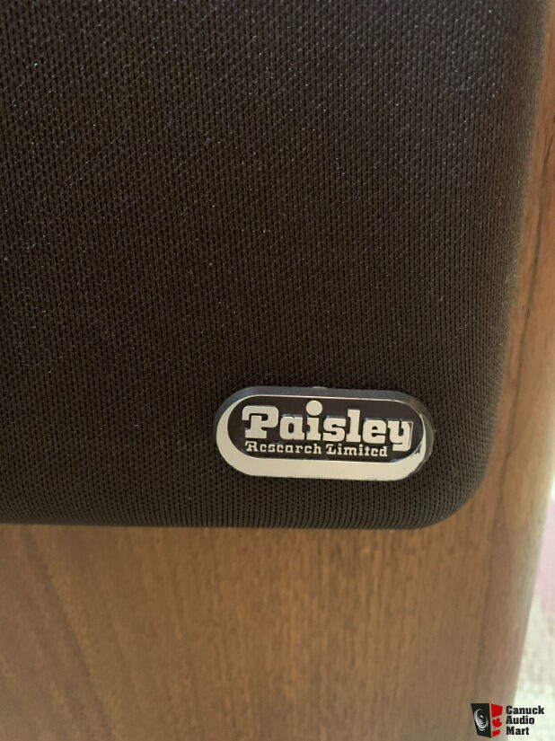 Vintage Paisley AE500 speakers Photo #4933559 - Canuck Audio Mart