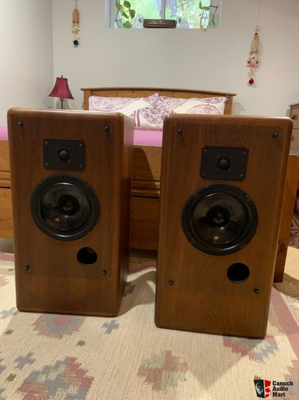 Vintage Paisley AE500 speakers Photo #4933559 - Canuck Audio Mart