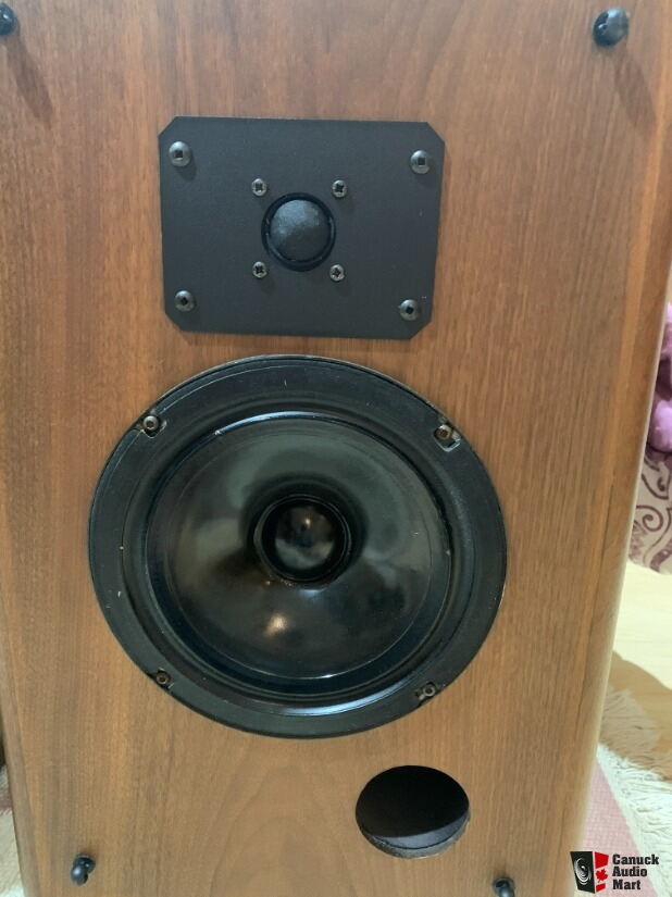 Vintage Paisley AE500 speakers Photo #4933559 - Canuck Audio Mart