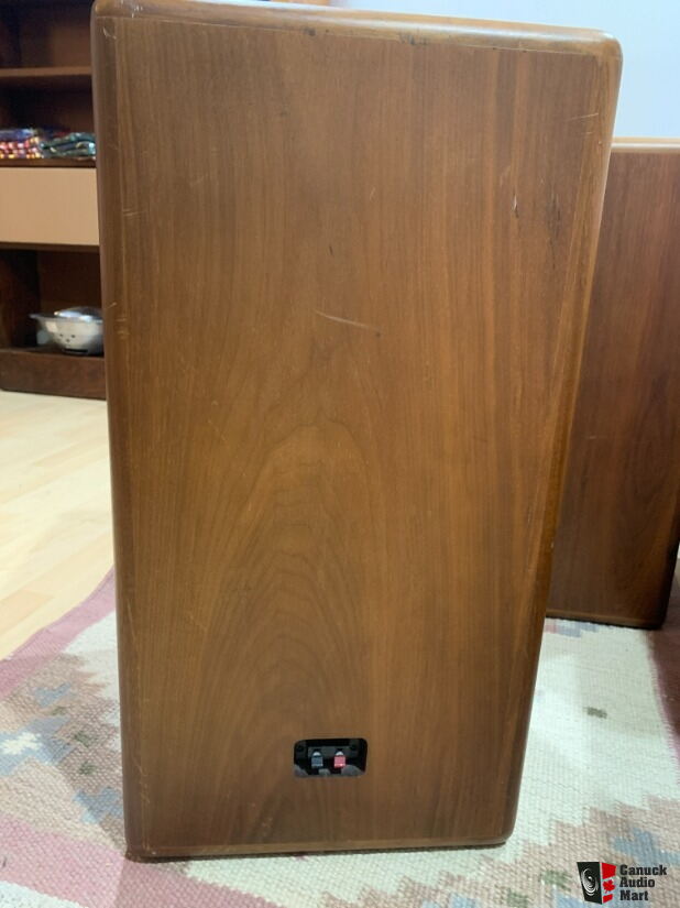Vintage Paisley AE500 speakers Photo #4933559 - Canuck Audio Mart