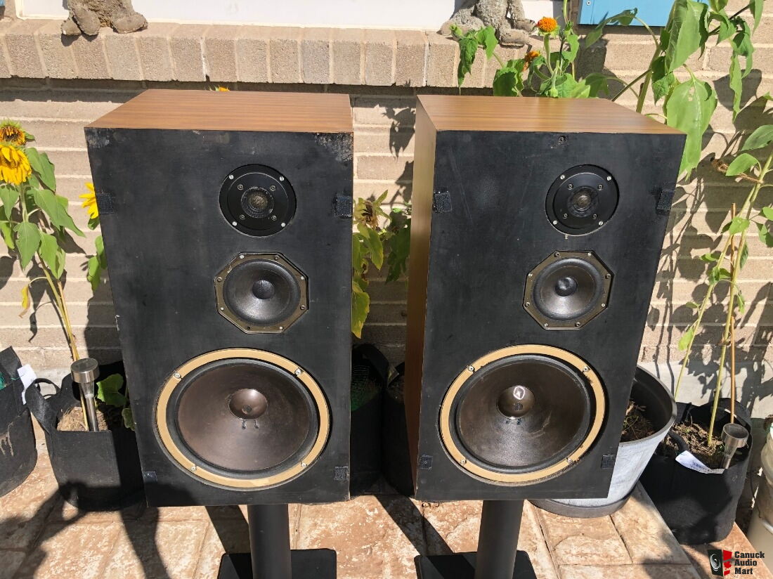Philips 10" 3-Way Speakers Photo #4934811 - Canuck Audio Mart