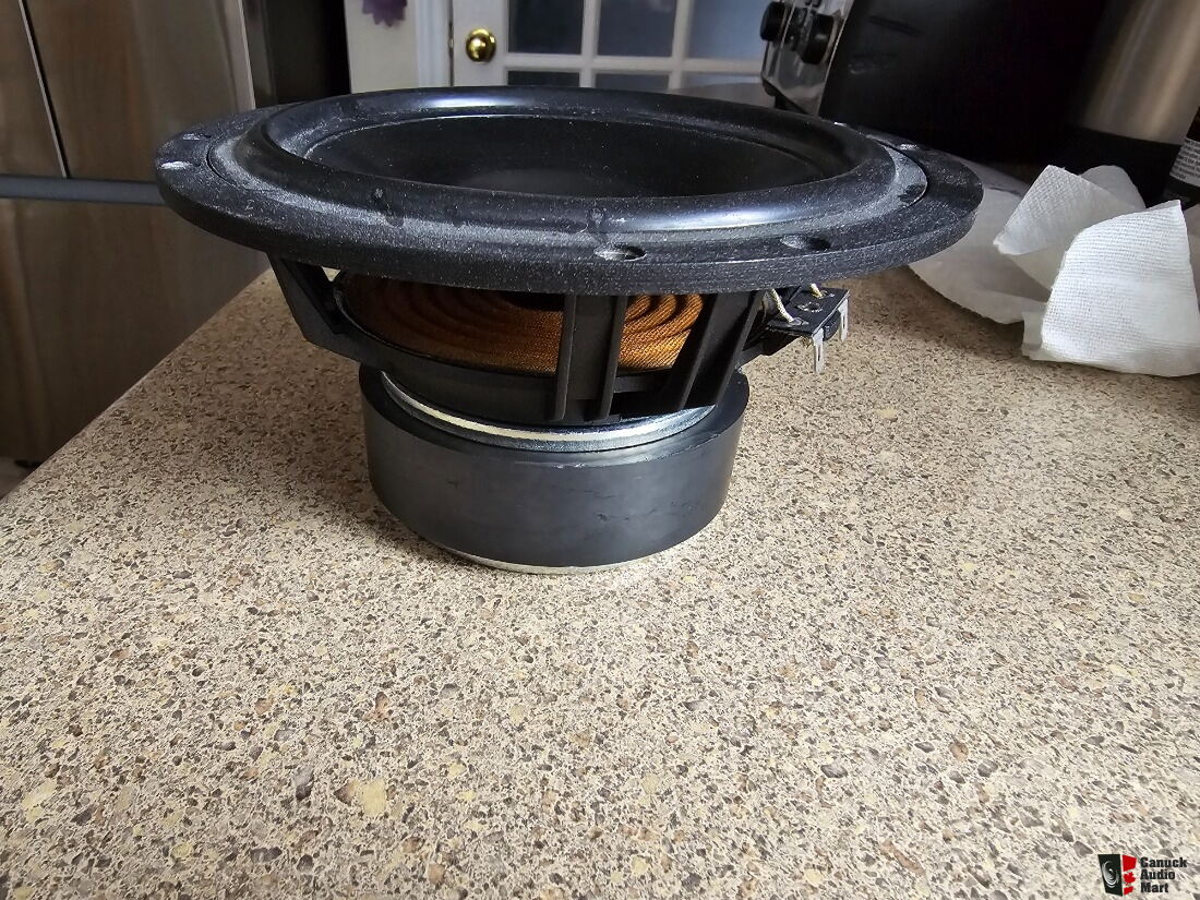 Paradigm Monitor 7 V4 replacement speaker Photo #4943403 - US Audio Mart