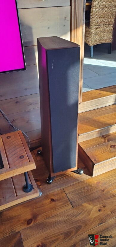 Paradigm founders series 100f walnut