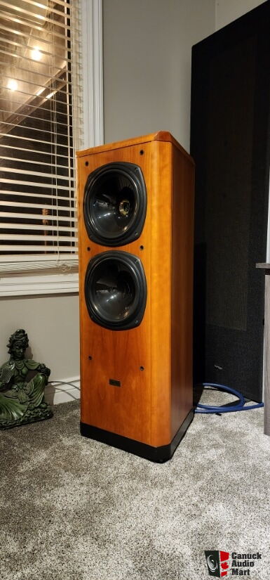 Tannoy D700 Photo #4961263 - Canuck Audio Mart