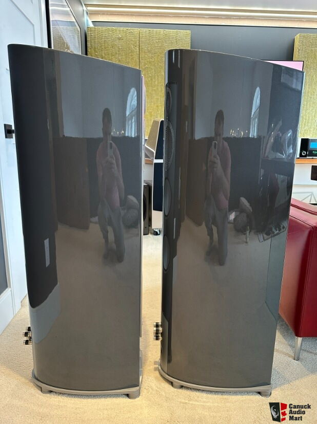 Paradigm Persona 3F Floorstanding Speaker Metallic Silver - Price is ...