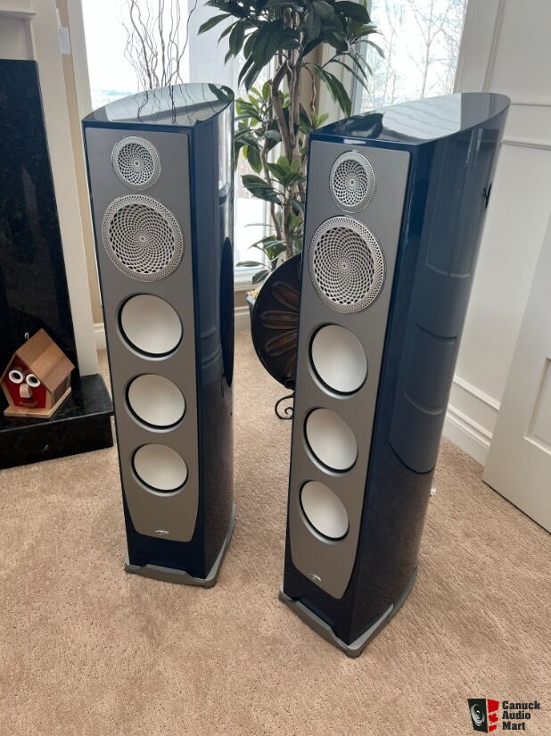 Paradigm Persona 5f Aria Blue Photo #4963523 - Canuck Audio Mart
