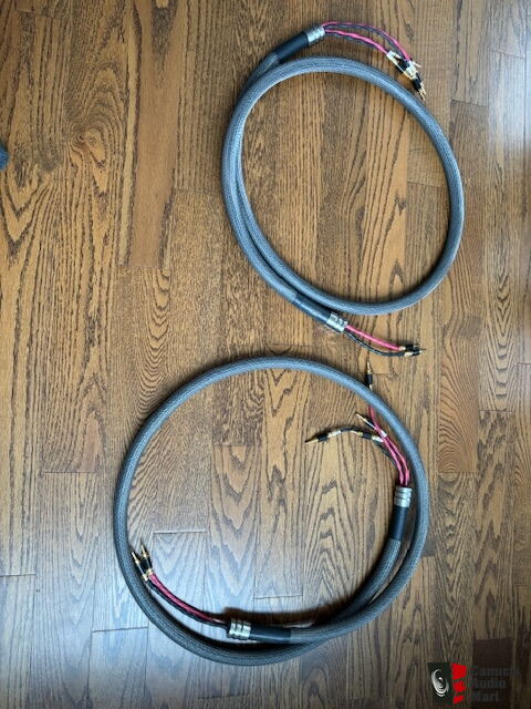 Audio Sensibility Testament Bi-wired Speaker Cables - 8 gauge, 8ft long ...