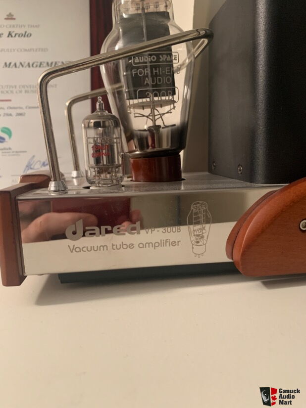 Dared Vacuum Tube Monoblock Amplifier For Sale - US Audio Mart