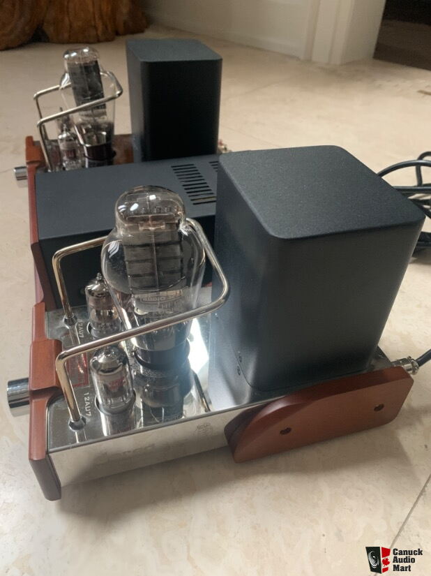 Dared Vacuum Tube Monoblock Amplifier